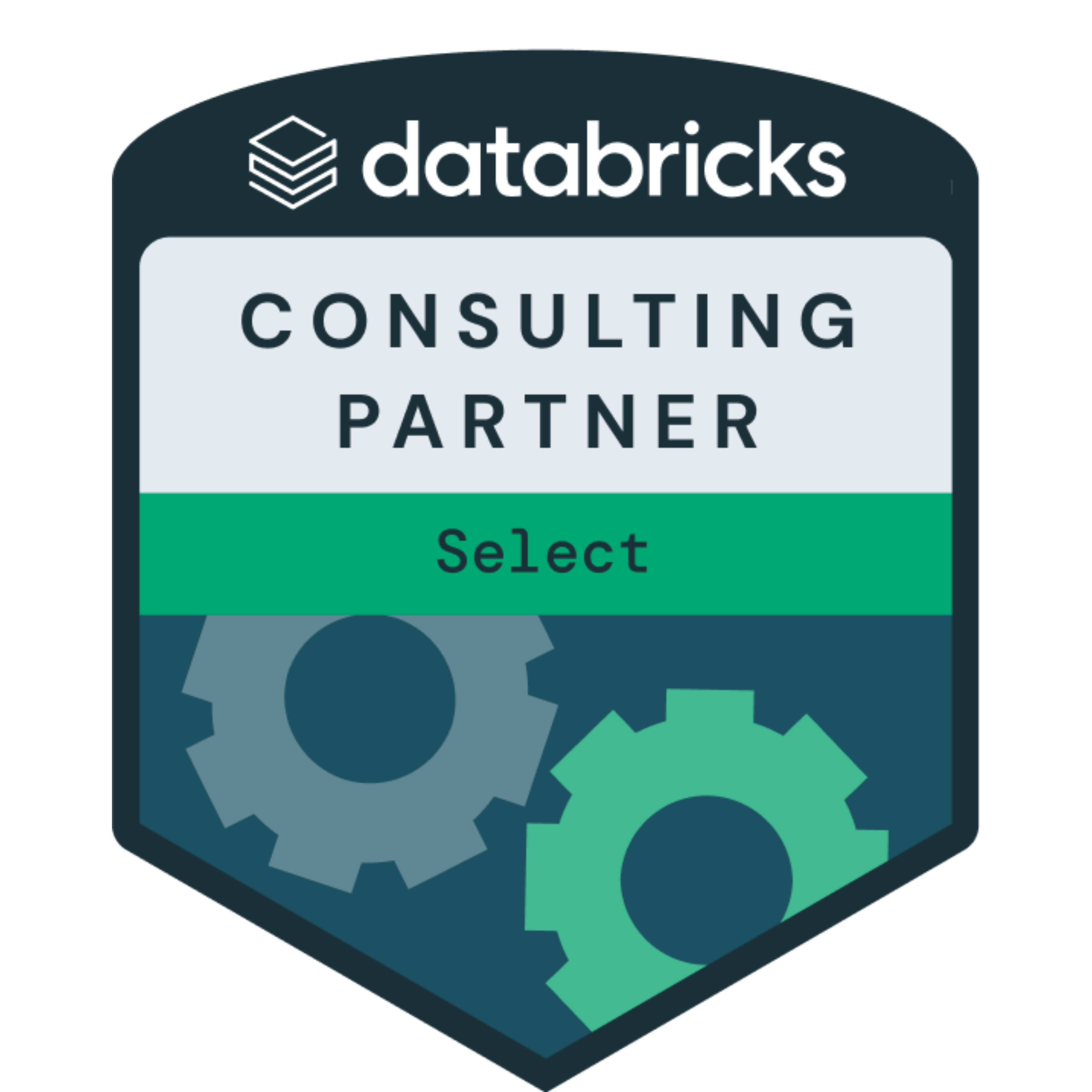 KPI Partners Elevates Partnership Tier with Snowflake and Databricks